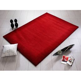 Wollteppich, B:70cm H:8mm L:140cm, rot, OCI DIE TEPPICHMARKE, Wolle, Wohnzimmer, Teppiche, "Vinciano Tami", reine Wolle, handgekn&uuml;pft, echter Nepal,