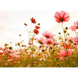 Livingwalls living walls Fototapete &raquo;Designwalls Flower Meadow 1&laquo; glatt Vlies, Wand, Schr&auml;ge, Decke bunt Vlies B/L: 3,5m x 2,55m