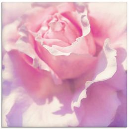 Artland Glasbild &raquo;Rosa&laquo; Blumen 1 Stk. tlg. in verschiedenen Gr&ouml;&szlig;en pink B/H/T: 50cm x 50cm, Glasbild Blumen quadratisch, 1 Stk.