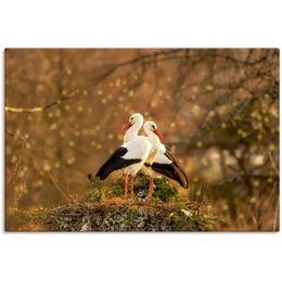 Artland Leinwandbild &raquo;Storchenpaar&laquo; Vogelbilder 1 Stk. tlg. auf Holzrahmen gespannt braun Leinwand B/H/T: 120cm x 80cm, Leinwandbild Vogelbilder Querformat, 1