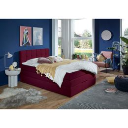 Home Affaire Boxspringbett &raquo;Fornoli&laquo; inkl. Topper und Bettkasten, H3 in zwei Matratzenarten rot Flachgewebe, Liegefl&auml;che B/L: 140cm x 200cm, Gewicht 