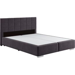 COTTA Boxspringbett &raquo;Simba in verschiedenen Farben und Breiten erh&auml;ltlich, ohne Matratze&laquo; im Bezugsstoff: Karo grau Polyester Stoff Karo Polyester 