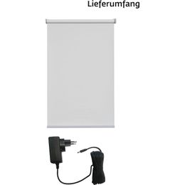 SUNLINES Elektrisches Rollo &raquo;Miami&laquo; Lichtschutz Sichtschutz mit Bohren freih&auml;ngend appgesteuert via Bluetooth, mit Motor & Akku, silberfarbener 
