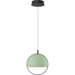 HELL h&ouml;llisch gutes Licht LED Pendelleuchte &raquo;HOOP&laquo; LED-Modul 1 Stk. Warmwei&szlig; B-Link Fernbedienung, Stufenlos h&ouml;henverstellbar gr&uuml;n 1, &Oslash; 30cm, 1 Stk.