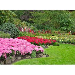 papermoon Fototapete &raquo;Blumen im Garten&laquo; bunt Vlies B/L: 3,5m x 2,6m, Bahnen: 7 Stk.