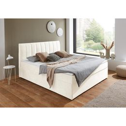 ATLANTIC HOME COLLECTION Boxbett &raquo;Alva, wahlweise mit Matratze&laquo; wahlweise mit Matratze und Topper wei&szlig; Chenille-Optik ohne Bonnell-Federkernmatratze 