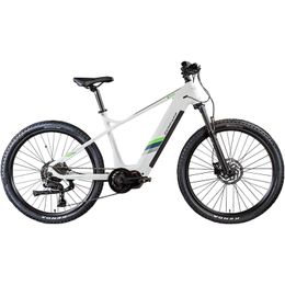 Z&uuml;ndapp Z&uuml;ndapp Unisex &raquo;X900&laquo; 10 Gang Shimano Cues U6020 SGS Schaltwerk Kettenschaltung Mittelmotor 250 W Pedelec, Elektrofahrrad f&uuml;r Damen und Herren, MTB 