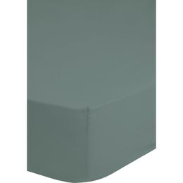 Good Morning Spannbettlaken &raquo;Jersey Spannbettlaken&laquo; 100% Baumwolle, Jersey, Rundumgummi, bis 25 cm h&ouml;he, 90/100x200, Wei&szlig; gr&uuml;n Jersey, Obermaterial: 