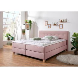 Home Affaire Boxspringbett &raquo;Fargo&laquo; inkl. Topper, in 3 Matratzenarten, in Samt- oder Strukturstoff lila Struktur fein (100% Polyester);Samtstoff (100% 
