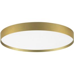 NOVA LUCE Deckenleuchte &raquo;ROI&laquo; LED-Modul 1 Stk. Warmwei&szlig; gold 1, &Oslash; 50cm H: 8,5cm, 1 Stk.
