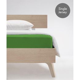 Fleuresse Spannbettlaken &raquo;Jenny C aus feinf&auml;digem Mako-Jersey&laquo; f&uuml;r Matratzen bis 23 cm H&ouml;he gr&uuml;n Mako-Jersey, Obermaterial: 100% Baumwolle B/L: 200cm,