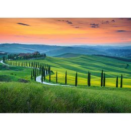 Livingwalls living walls Fototapete &raquo;Designwalls Tuscany 1&laquo; glatt Vlies, Wand, Schr&auml;ge, Decke bunt Vlies B/L: 3,5m x 2,55m