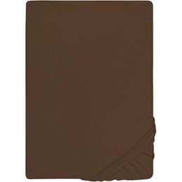 Biberna Spannbettlaken &raquo;THEA Baumwoll-Jersey mit Elasthan, 160 g/m&sup2;&laquo; Bettlaken f&uuml;r Matratzen bis 25 cm H&ouml;he, pflegeleicht, b&uuml;gelfrei braun Jersey-Elasthan, 