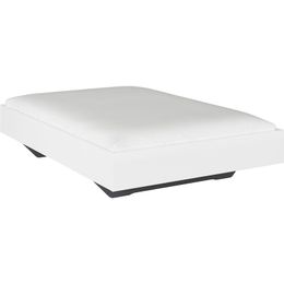 Rauch Futonbett &raquo;Phoenix&laquo; ohne Kopfteil wei&szlig; Liegefl&auml;che L&auml;nge B: 200cm x 140cm, H&ouml;he Bett: 41cm, ohne Matratze