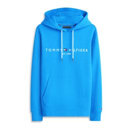Tommy Hilfiger Sweatshirt male size XXL Azure / White