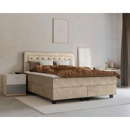 Home Affaire Boxspringbett &raquo;Jeanne&laquo; inkl. Topper mit Taschen-Federkernmatratze beige 100% Polyester Samtvelours, Liegefl&auml;che B/L: 140cm x 200cm, H2/H3