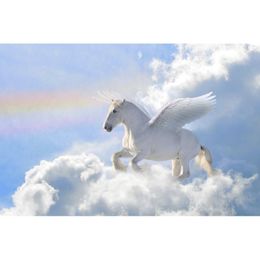 papermoon Fototapete &raquo;Pegasus in the Clouds&laquo; glatt bunt Vlies B/L: 5m x 2,8m, Bahnen: 10 Stk.