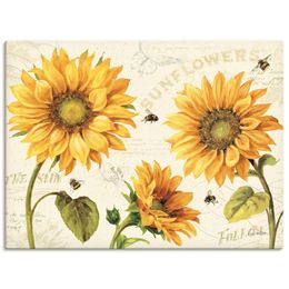 Artland Wandbild &raquo;Under the Sun III&laquo; Blumenbilder 1 Stk. tlg. als Alubild, Leinwandbild, Poster, Wandaufkleber in verschied. Gr&ouml;&szlig;en gelb Leinwand B/H/T: 40cm 