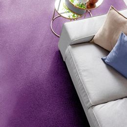 ANDIAMO Teppichboden &raquo;Kira, Velours, Gesamth&ouml;he 8 mm, Luxusklasse LC1&laquo; rechteckig Uni Farben, Breite 400 cm, strapazierf&auml;hig, pflegeleicht, Wohnzimmer lila 