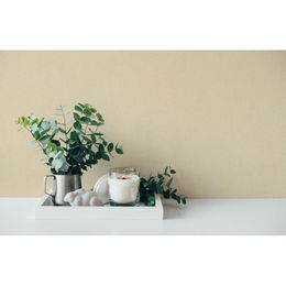 A.S. Cr&eacute;ation Vliestapete &raquo;Dream Flowery&laquo; einfarbig uni unifarben glatt Uni Tapete einfarbig Tapeten Wohnzimmer Schlafzimmer K&uuml;che modern Flur beige Vlies B/L: 