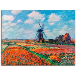 Artland Leinwandbild &raquo;Tulpenfelder in Holland, 1886&laquo; Blumenwiese 1 Stk. tlg. auf Holzrahmen gespannt rot Leinwand B/H/T: 40cm x 30cm, Leinwandbild Blumenwiese