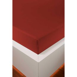 bellana Spannbettlaken &raquo;bellana deluxe mit Elasthan, Jersey 230 g/m&sup2;, Premium-Qualit&auml;t&laquo; mit 5% Elasthan, f&uuml;r Matratzen bis 35cm H&ouml;he, b&uuml;gelfrei, 
