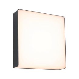 Paulmann LED Au&szlig;en-Wandleuchte &raquo;Azalena IP44 250x97mm 3000K 8,5W 700lm 230V Kunststoff, Aluminium&laquo; 1 Stk. Warmwei&szlig; Bewegungsmelder mit Hochfrequenz-Sensor IP44