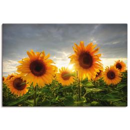Artland Leinwandbild &raquo;Sonnenblumen II&laquo; Blumen 1 Stk. tlg. auf Holzrahmen gespannt orange Leinwand B/H/T: 90cm x 60cm, Leinwandbild Blumen Querformat, 1 Stk.