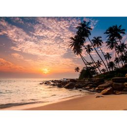 papermoon Fototapete &raquo;Palm Beach Sri Lanka&laquo; glatt bunt Vlies B/L: 2,5m x 1,86m, Bahnen: 5 Stk.