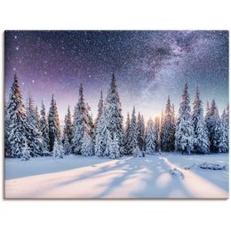 Artland Wandbild &raquo;Tannenwald im Schnee vorm Sternenhimmel&laquo; Berge & Alpenbilder 1 Stk. tlg. als Alubild, Leinwandbild, Poster in verschied. Gr&ouml;&szlig;en blau B/H/T: 