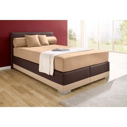 Maintal Boxspringbett &raquo;Lago&laquo; in 3 verschiedenen Matratzenarten, H2 oder H3 braun Bezug Kopteil und seitliche Unterbox wahlweise Microvelours aus 100% 