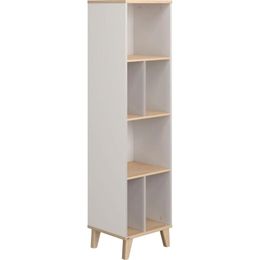 Paidi Standregal &raquo;FIENE in Grau mit 6 offenen F&auml;chern, 48x181x40cm&laquo; stabiles und langlebiges Regal aus Holz, gepr&uuml;fte Qualit&auml;t grau B/H/T: 181cm x 