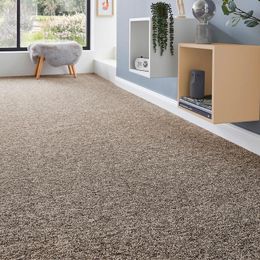 ANDIAMO Teppichboden &raquo;Matz, Schlinge, Gesamth&ouml;he 6 mm, Luxusklasse LC1&laquo; rechteckig meliert, Breite 400 cm oder 500 cm, strapazierf&auml;hig & pflegeleicht braun 