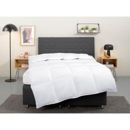 OTTO home Daunenbettdecke &raquo;Cyra, Bettdecke 135x200 cm, 155x220 cm&laquo; warm F&uuml;llung 70% Daunen und 30% Federn Bezug Baumwolle 1 Stk. tlg. wo besonders auf
