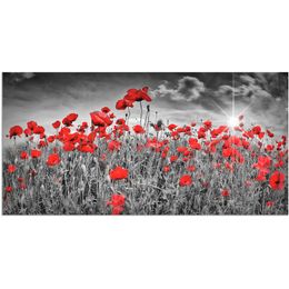 Artland Wandbild &raquo;Idyllisches Mohnblumenfeld mit Sonne&laquo; Blumen 1 Stk. tlg. als Alubild, Leinwandbild, Poster in verschied. Gr&ouml;&szlig;en schwarz B/H/T: 60cm x 30cm, 