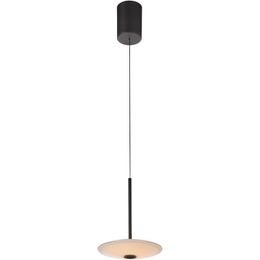 Paul Neuhaus LED Pendelleuchte &raquo;ELIPSA&laquo; LED-Board 1 Stk. Warmwei&szlig; Dimmf&auml;hig &uuml;ber separaten Tronicdimmer, Comfort-Lift 1, &Oslash; 20cm H: 80cm, 1 Stk.
