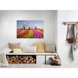 A.S. Cr&eacute;ation Leinwandbild &raquo;Zaanse Schans&laquo; Kunst Landschaft 1 Stk. tlg. Keilrahmen Blumenfeld Tulpenfeld Holland Leinwand-Bild Wohnzimmer Wand bunt Massivholz, 