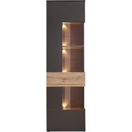 FORTE Vitrine &raquo;Como&laquo; Vitrine, Glast&uuml;re, LED Beleuchtung, Soft Close Linksanschlag grau Holzwerkstoff grau, B/H/T: 60,4cm x 203,3cm x 41,3cm, T&uuml;ren: 1 