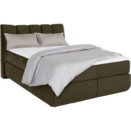 Home Affaire Boxspringbett &raquo;Oc&eacute;ane&laquo; Bodenfrei- wirkt freischwebend, verschiedene H&auml;rtegrade (auch H4) gr&uuml;n Polyester Velour VELVET Polyester Topper 