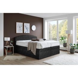 Westfalia Schlafkomfort Boxspringbett &raquo;Madeira&laquo; Lederoptik Microvelours Ohne Bettkasten,Mit Topper, Liegefl&auml;che B/L: 160cm x 200cm, Gewicht bis: 100 kg H3, 5-Zonen-Taschen-