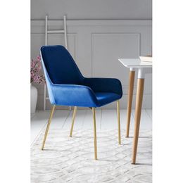 Salesfever Armlehnstuhl &raquo;Eleganter Esszimmerstuhl&laquo; (Set) 2 Stk.mit modernem, messingfarbenem Gestell blau B/H/T: 56cm x 90cm x 54cm, 2 Stk., 