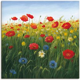 Artland Wandbild &raquo;Mohnblumen Landschaft I&laquo; Blumenwiese 1 Stk. tlg. als Alubild, Leinwandbild in verschied. Gr&ouml;&szlig;en gr&uuml;n B/H/T: 30cm x 30cm, Leinwandbild 