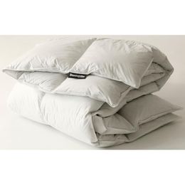 Dunlopillo G&auml;nsedaunenbettdecke &raquo; Supreme Deluxe, "NEUHEIT" in Gr&ouml;&szlig;e 135x220 & 155 220 cm&laquo; warm F&uuml;llung 90% G&auml;nsedaunen & 10% Federn 1 Stk. tlg. Hergestellt in 