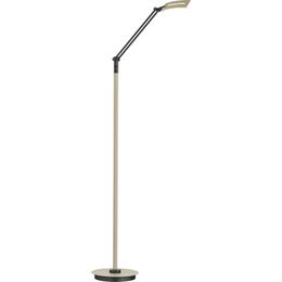 HELL h&ouml;llisch gutes Licht LED Stehlampe &raquo;EVOLO&laquo; LED-Modul 1 Stk. warmwei&szlig; - kaltwei&szlig; Tastdimmer, CCT beige 1, &Oslash; 22cm H: 110cm, 1 Stk.