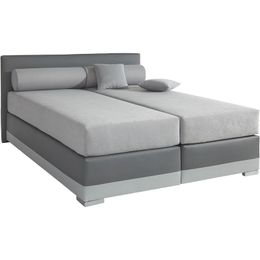 Maintal Boxspringbett &raquo;Lago&laquo; in 3 verschiedenen Matratzenarten, H2 oder H3 grau Bezug Kopteil und seitliche Unterbox wahlweise Microvelours aus 100% Polyester