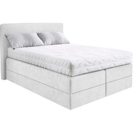 Westfalia Schlafkomfort Boxspringbett wahlweise mit Kaltschaum-Topper wei&szlig; Microvelours (100% Polyester) Microvelours Kaltschaum-Topper, Liegefl&auml;che B/L: 140cm x 200cm, H2 + 