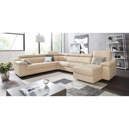 Calia italia Wohnlandschaft &raquo;CS_Mambo, U-Form, Familiensofa, bequem und zeitlos&laquo; in Leder, inklusive Kopfteilverstellung beige B/H/T: 360cm x 98cm x 