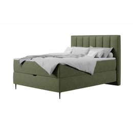 Home Affaire Boxbett &raquo;Rita inkl. Bettkasten, erh&auml;ltlich in den Breiten 160cm und 180cm&laquo; mit Taschen-Federkernmatratze, Komfortliegeh&ouml;he von 61cm gr&uuml;n 