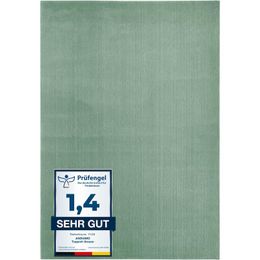 ANDIAMO Teppich &raquo;Arezzo&laquo; rechteckig 16 mm H&ouml;he Uni Farben, weicher Flor, waschbar, ideal im Wohnzimmer & Schlafzimmer gr&uuml;n Polyester B : 80cm 1 Stk., 16mm, L: