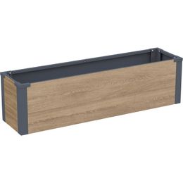 WESTMANN Pflanzk&uuml;bel &raquo;Talus M&laquo; BxTxH: 100x25x27 cm Stahl B/H/T: 100cm x 27cm x 25cm